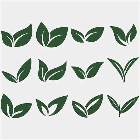 Premium Vector Collection Of Leaf Logos