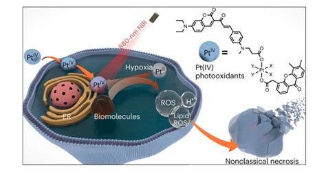 Research Stories Cityuhk Tbsc