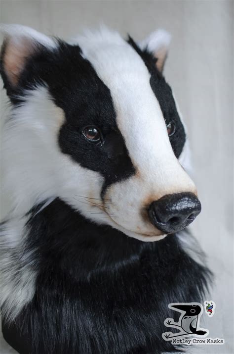 Badger Mask Tai Gordon On Artstation At