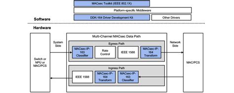 Macsec Explained Securing Data In Motion What How Why