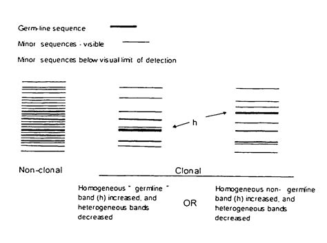 Method Of Detection Eureka Patsnap