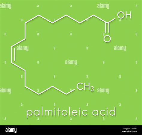 Palmitoleic Acid Omega 7 Fatty Acid Molecule Skeletal Formula Stock