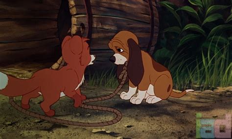 The Fox And The Hound 1981 The Internet Animation Database