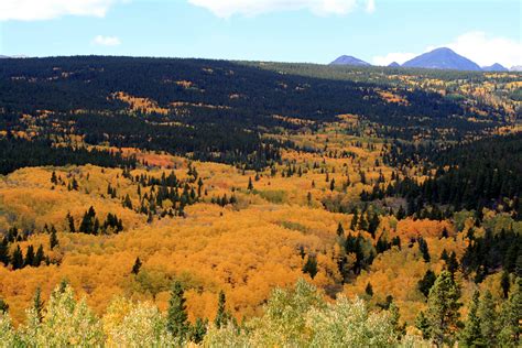 Aspen Colorado In Fall Colors