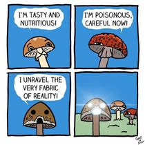 Mushrooms Meme Guy