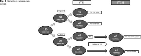 Sampling Experimental Design Download Scientific Diagram