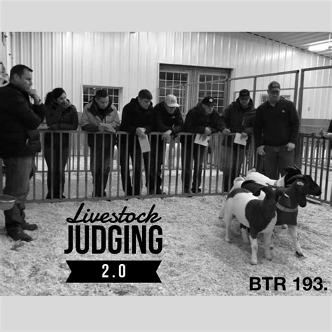 Ryan And Dale Revisit The Benefits And Hummel Livestock