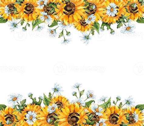 Watercolor Illustration Of A Frame Of Yellow Sunflowers And White