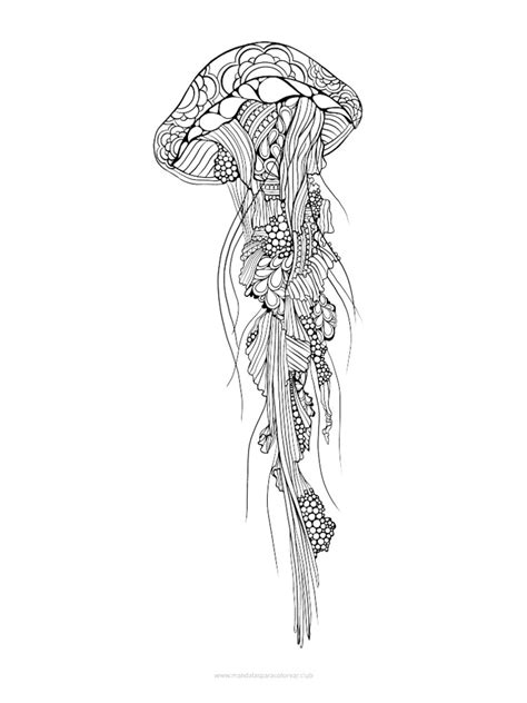 Sea Jellyfish Printable Pdf