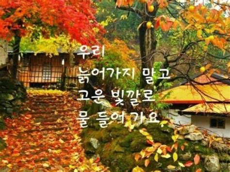 아름다운 산길 Band