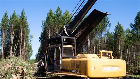 Salmela Logging And Forestry Management