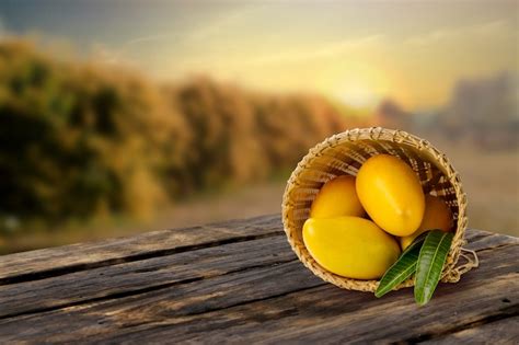 Premium Photo Harvested Mangoes Fruit In Basket On Wooden Table With