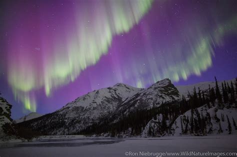 Northern Lights Brooks Range Alaska Photos By Ron Niebrugge