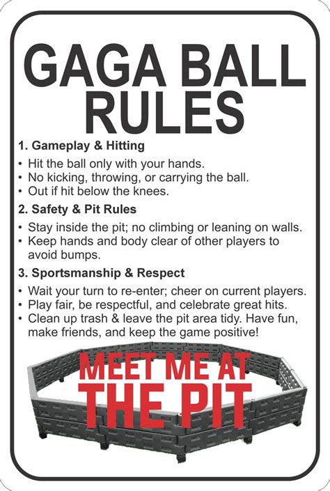 Customizable Gaga Ball Rules Sign Yard Game Guideline Decor