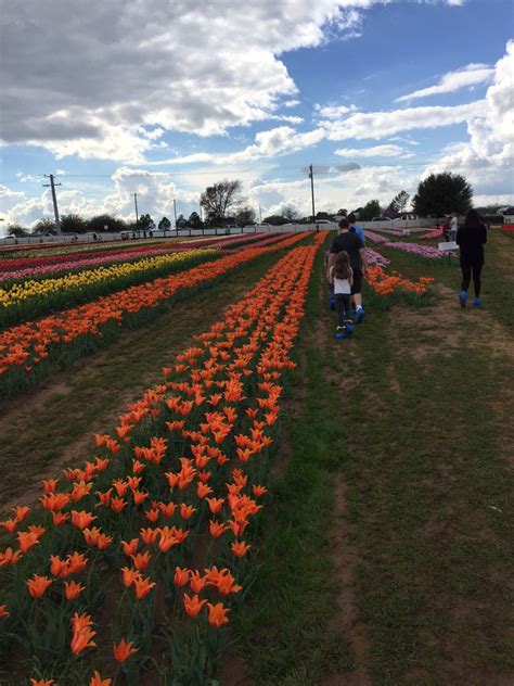 Natalie Joyner Joynernatalie Twitter