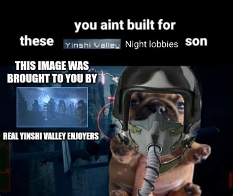 Memes Revevant To Ac7 Mp [oc] R Acecombat