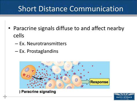Ppt Endocrine And Cell Communication Part I Introduction To Communication Powerpoint