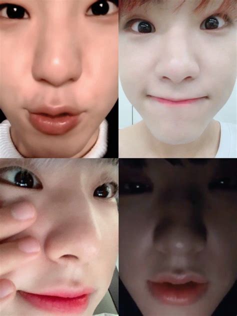 15 个 Hoshi 🐯 点子 十七 名人 老虎