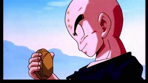 Krillin Hits Goku With A Rock At Gabriel Williamson Blog