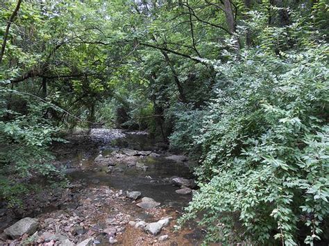 Flat Branch Creek