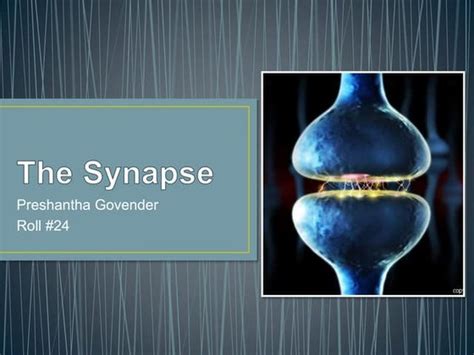 Physiology Of Urine Formation Ppt