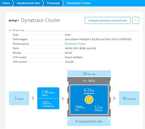 What Technologies Underlie Individual Processes — Dynatrace Docs
