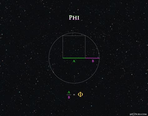 The Divine Proportion Golden Phinomena Of Nature Joedubs