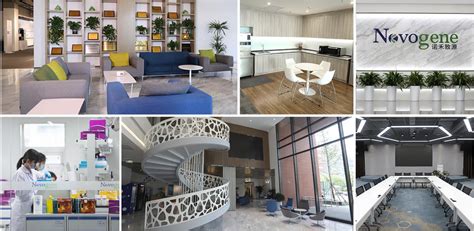 「诺禾致源招聘」2025年诺禾致源招聘信息 智联招聘