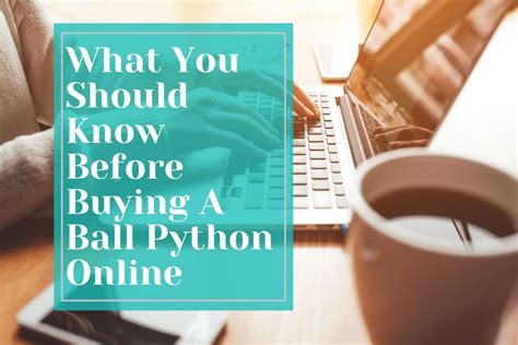 Ball Python Feeding Guide And Rat Size Chart Ghost Constrictors