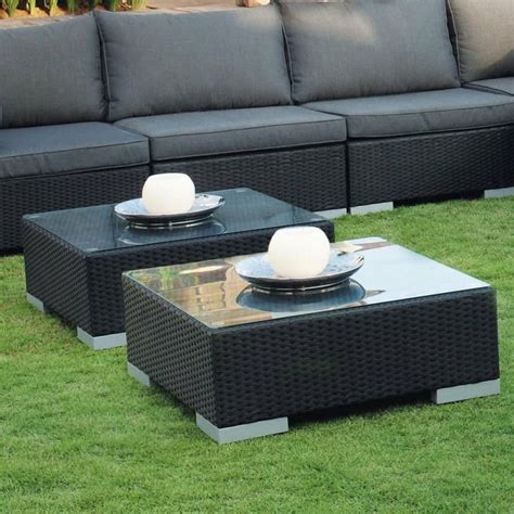 Col O Repollo Ornamental Origen Y Características Plantas