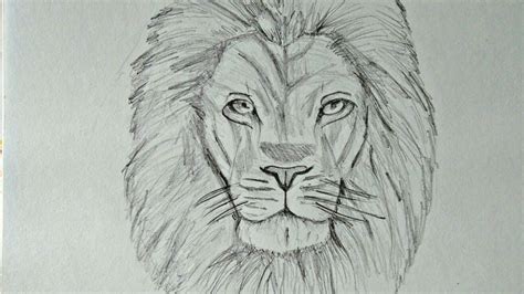 Lions Face Drawing How To Draw A Lion Face Drawingnow