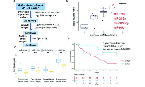 Integrative Bioinformatics Analysis For The Identification Of Oncomirs Download Scientific