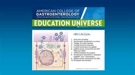 Video Of The Week Dr Nancy Reau On Hepatitis B An Update American College Of Gastroenterology