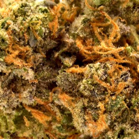 Thca To Thc How To Easily Decarb Your Thca Flower At Home