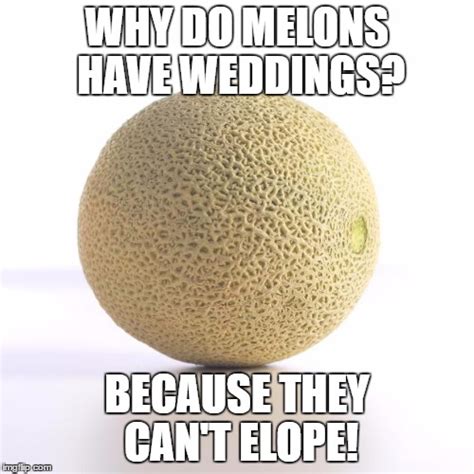 Cantaloupe Memes And S Imgflip