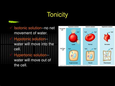 Tonic Definition Biology At Frank Paxton Blog