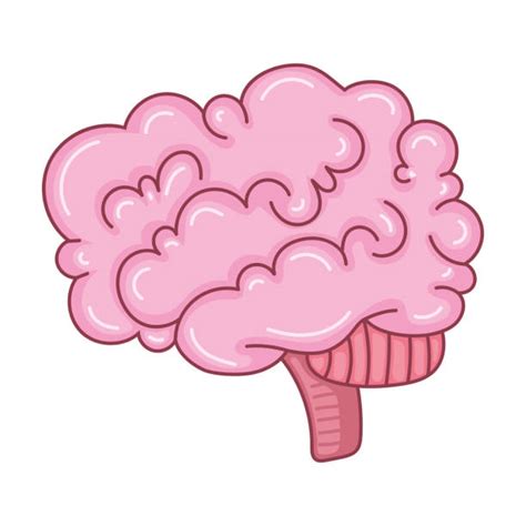 30 Neocortex Brain Stock Illustrations Royalty Free Vector Graphics