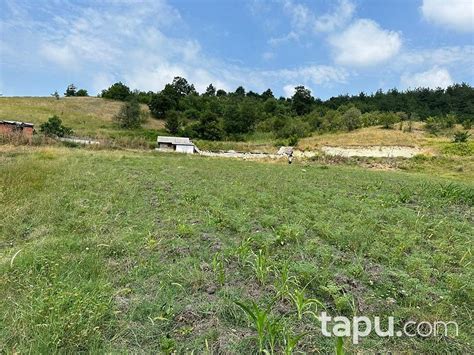 Bursa Mustafakemalpaşa Hacıali Mevkinde 72 Dönüm Tarla Bursa