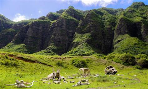 Discover Kualoa Ranch By Helicopter With Landing Oahu Helicopter Tours