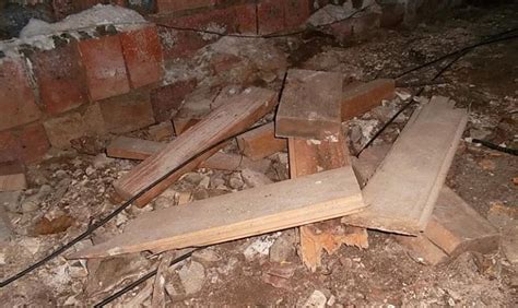 Subfloor Cleaning Quality Termite Control
