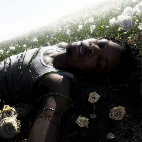 Tangerine Feat Damiano David D4vd Letrascom