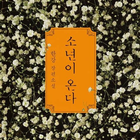 소년이 온다 줄거리 내용 해석 다양한 관점에서