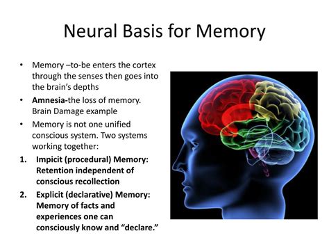 ppt chapter 9 memory powerpoint presentation free download id 5721589