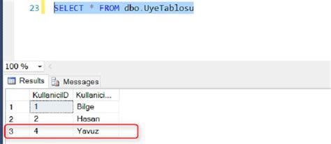 Sql Serverda Identity Seed Resetlemek Sql Server Eğitimleri