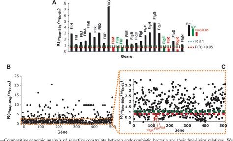 Figure 3 From The Evolution Of The Flagellar Assembly Pathway In