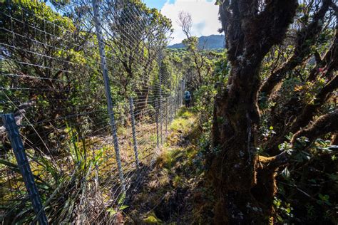 Kawaikini Ck Outside