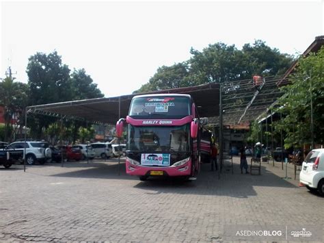 Jepret Bus Gak Sengaja Ketemu Bus Shd Subur Jaya Asedino