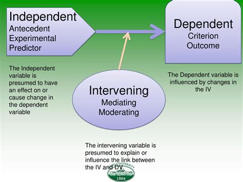 Ppt Understanding Variable Analytic Approach In Research Powerpoint