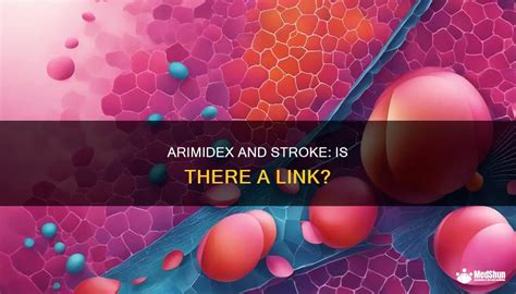 Arimidex And Stroke Is There A Link Medshun