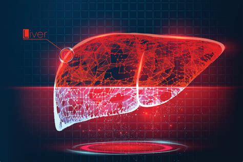 Supporting Healthy Detoxification Vitamin Retailer Magazine